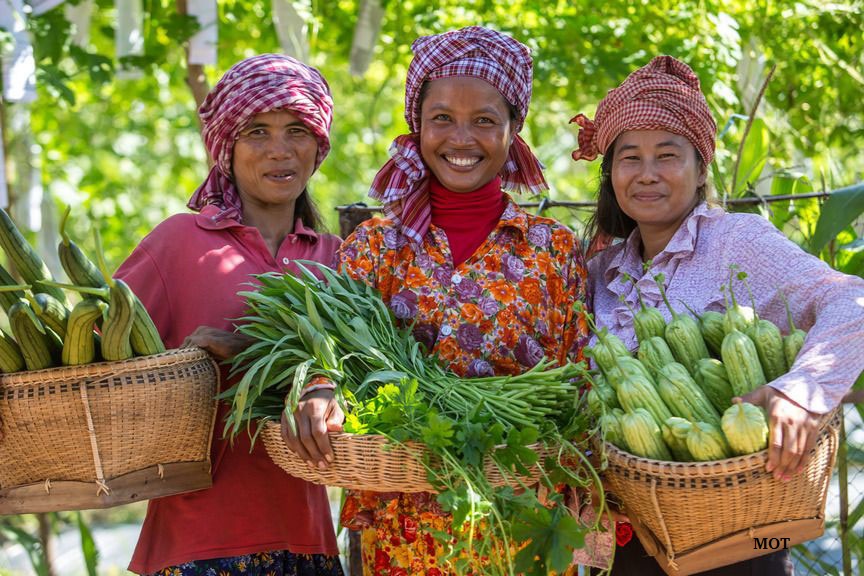 Bike the Countryside and Vegetable Villages Half-Day private Tour ...